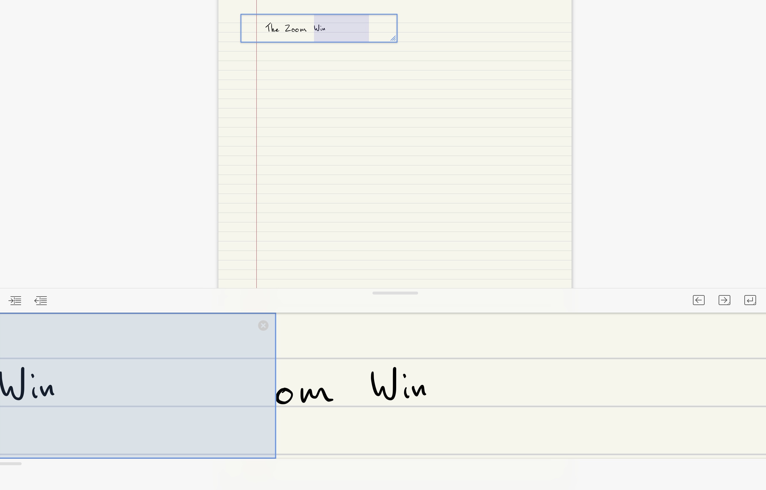 Write with the Zoom Window – Goodnotes Support