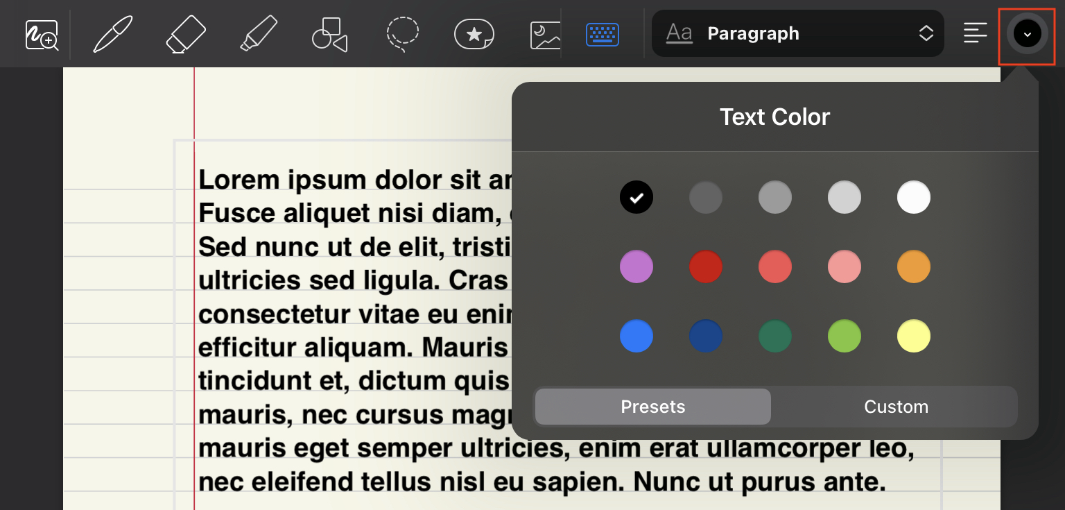 [GoodNotes 5] Type text on the full page – Goodnotes Support